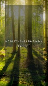 140 Baby Names That Mean Forest - Creative Nomenclature