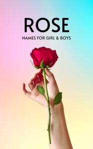 84 Names That Mean Rose (Boy & Girl) - Creative Nomenclature