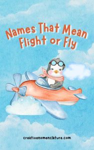 120 Names That Mean Flight or Fly - Creative Nomenclature